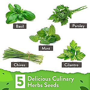 Indoor Herb Garden Starter Kit - 5 Herb Plant Grow Kit w/ Pots & Soil - DIY Heirloom Herb Seeds Home Gardening Kit - Kitchen Window Garden Growing Kit - Unique Gardening Gifts for Women & Men