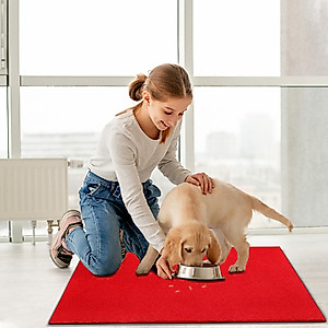 AAZZKANG Red Door Mat Set of 2 Non Slip Durable Multi-Purpose Outdoor Indoor Mat Large 36"x24" Ultra Absorb Mud Easy to Clean Entry Doormat for Inside,Outside,Patio,High Traffic Areas