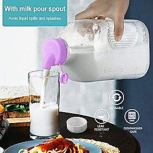 3 Pack 64 Oz Heavy Duty Glass Milk Bottle with Pour Spout and Reusable Airtight SCREW LID, 2 Qt Glass Water Bottle with 2 Exact Scale Lines - Glass Milk Jug Pitcher