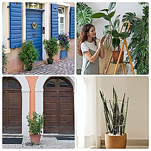 4 Pack Tomato Cage Plant Support Cages for Garden, 18 inches Trellis for Climbing Plants, Upgrade Garden Plant Stakes with Adjustable Ring, Tomato Rings for Support, with Twist Tie