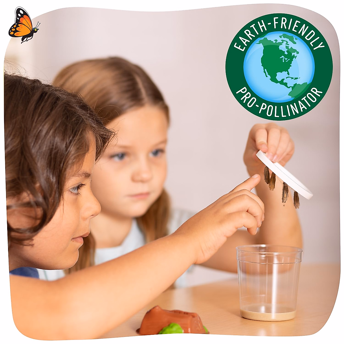 Insect Lore - Butterfly Growing Kit - With Voucher to Redeem Caterpillars Later