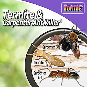 BONIDE PRODUCTS INC 370 Termitecarptrant Control, 15 oz
