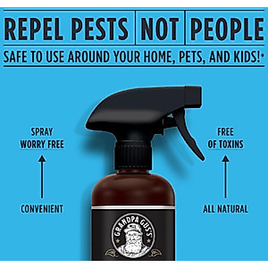 Grandpa Gus's Natural Bed Bug Killer Spray, 48 Hours Time-Release Plant-Based Actives, Kills Bed Bugs & Their Eggs, 16 fl oz