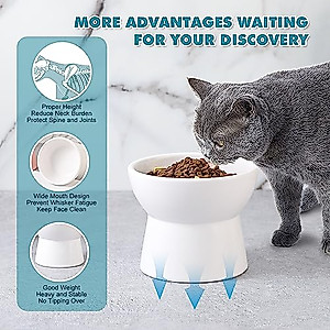 Elevated Cat Water Bowl - Raised Ceramic Cat Food Dish - Anti Vomiting - Extra Wide Whisker Friendly - Microwave & Dishwasher Safe - 6.1 inch - 18.5 oz - 550 ml