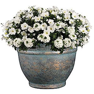 Classic Home & Garden 10512D-377R 12" Alena Planter, Weathered Copper