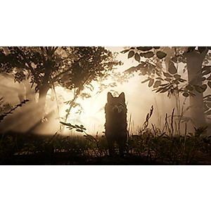 Red Dead Redemption 2 Xbox One