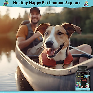 ImmunoPet - Itchy Skin Relief for Dogs and Cats - Hot Spot Relief - Pet Allergy Support -Cat and Dog Skin and Coat Supplement - Pet Immunity Support - 60 Caps