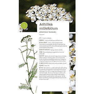 276 Edible Wild Plants of the United States and Canada: Berries, Roots, Nuts, Greens, Flowers, and Seeds in All or the Majority of the US and Canada