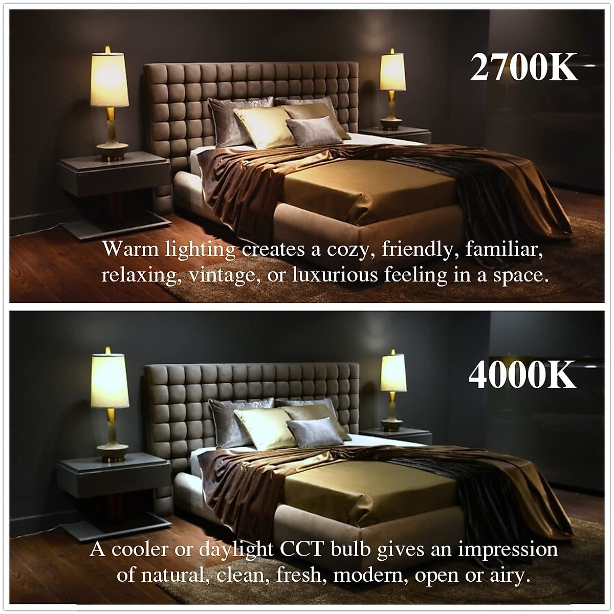 winsaLED 12 Pack 2w LED Edison Bulbs, 25 Watt Light Bulbs Equiv, 2700K Soft Warm with E26 Standard Base, LED ST19 Low Watt Light Bulbs, Not-dimmable, 120V