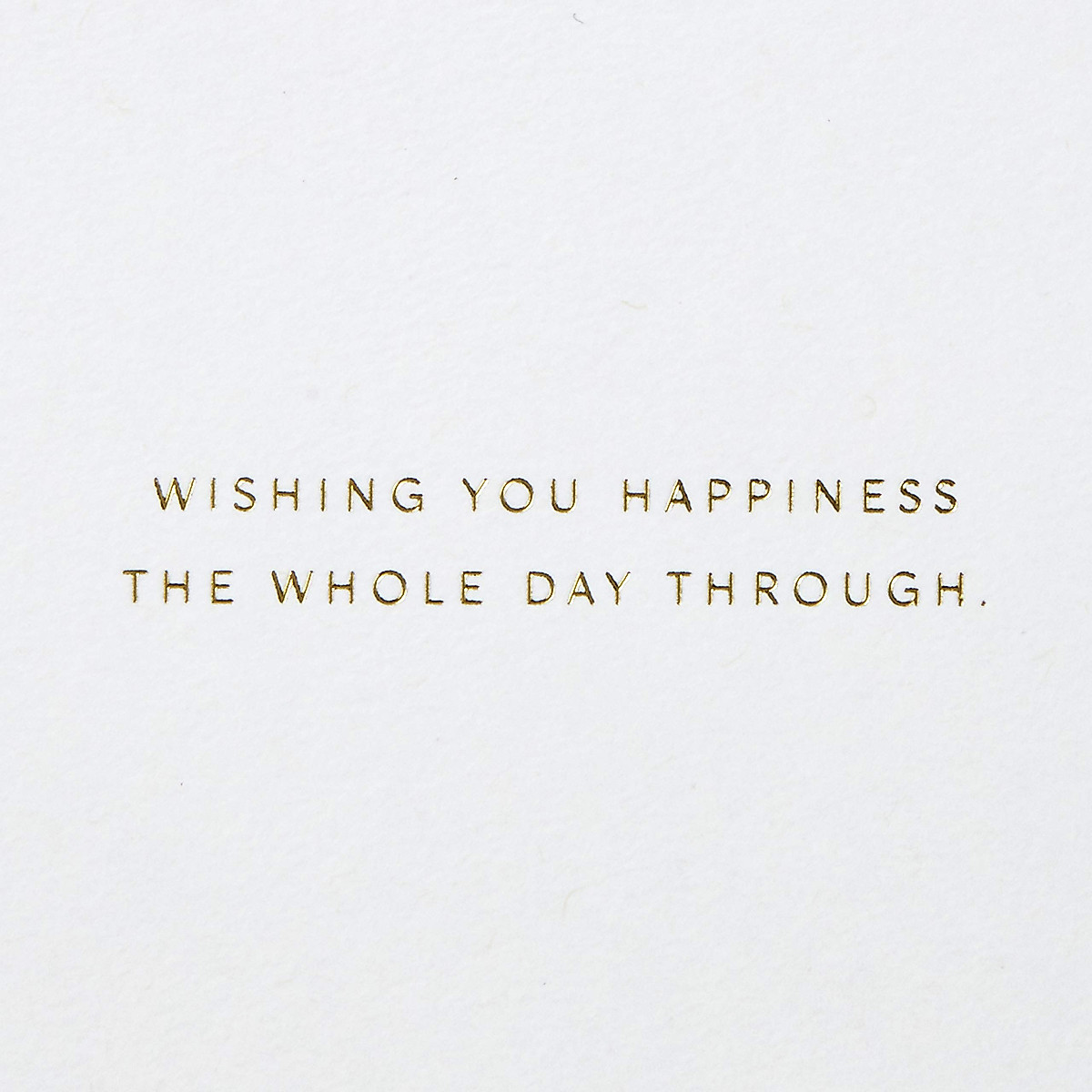 Hallmark Signature Peanuts Fathers Day Card (Snoopy and Woodstock Canoeing) (799FFW2007)