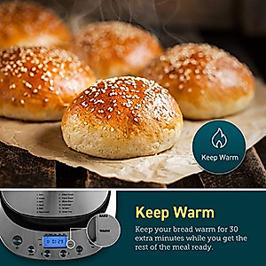 COSORI Bread Maker Machine with 50 Recipes, Gluten Free Function, 12 Presets, 30 Minutes Keep Warm, 13 Hours Delay Start, Accessories Included, 2LB, Gray