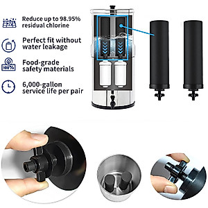 KrohneTec BB9-2 Water Filters Black Purification Elements, for use with Gravity-Fed Water Filter Systems (2 Pack)