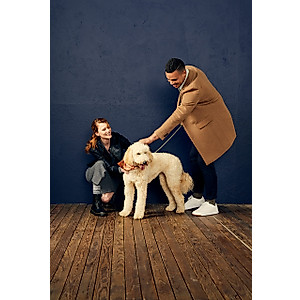 GOLDTOE Men's Mild Compression No Show Tab Socks, 3-Pairs, Black/Grey, Large