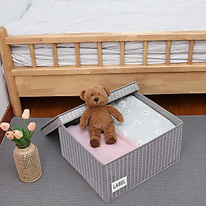 GRANNY SAYS Bundle of 2-Pack Closet Bins with Lids for Storage & 2-Pack Socks Storage Organizers