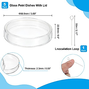 PATIKIL 90mm High Borosilicate Glass Petri Dishes with Lids, 5 Pack Petri Plates with a Inoculation Loop for Lab Science Experiment, Clear