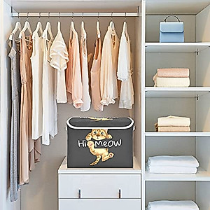 DOMIKING Funny Cat Large Storage Bin with Lid Collapsible Shelf Baskets Box with Handles Closet Organizer for Clothes Toy Gift Storage
