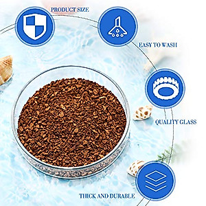 Patelai 3 Pieces Aquarium Shrimp Feeding Dish Glass Fish Clear Tank Feeding Bowl Food Bowl Freshwater Tray Feeder