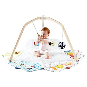 The Play Gym by Lovevery | Stage-Based Developmental Activity Gym & Play Mat for Baby to Toddler, 1 Count (Pack of 1)