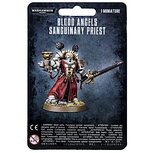 Games Workshop 99070101008" Blood Angels Sanguinary Priest Tabletop and Miniature Game, Black