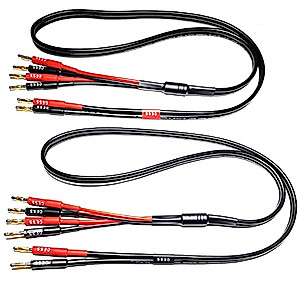 CESS-106-3f Bi-Wire Banana Plug Splitter Speaker Cable, 2 Banana Plugs to 4 Banana Plugs, 12 Gauge, 2-Channel (3 Feet)