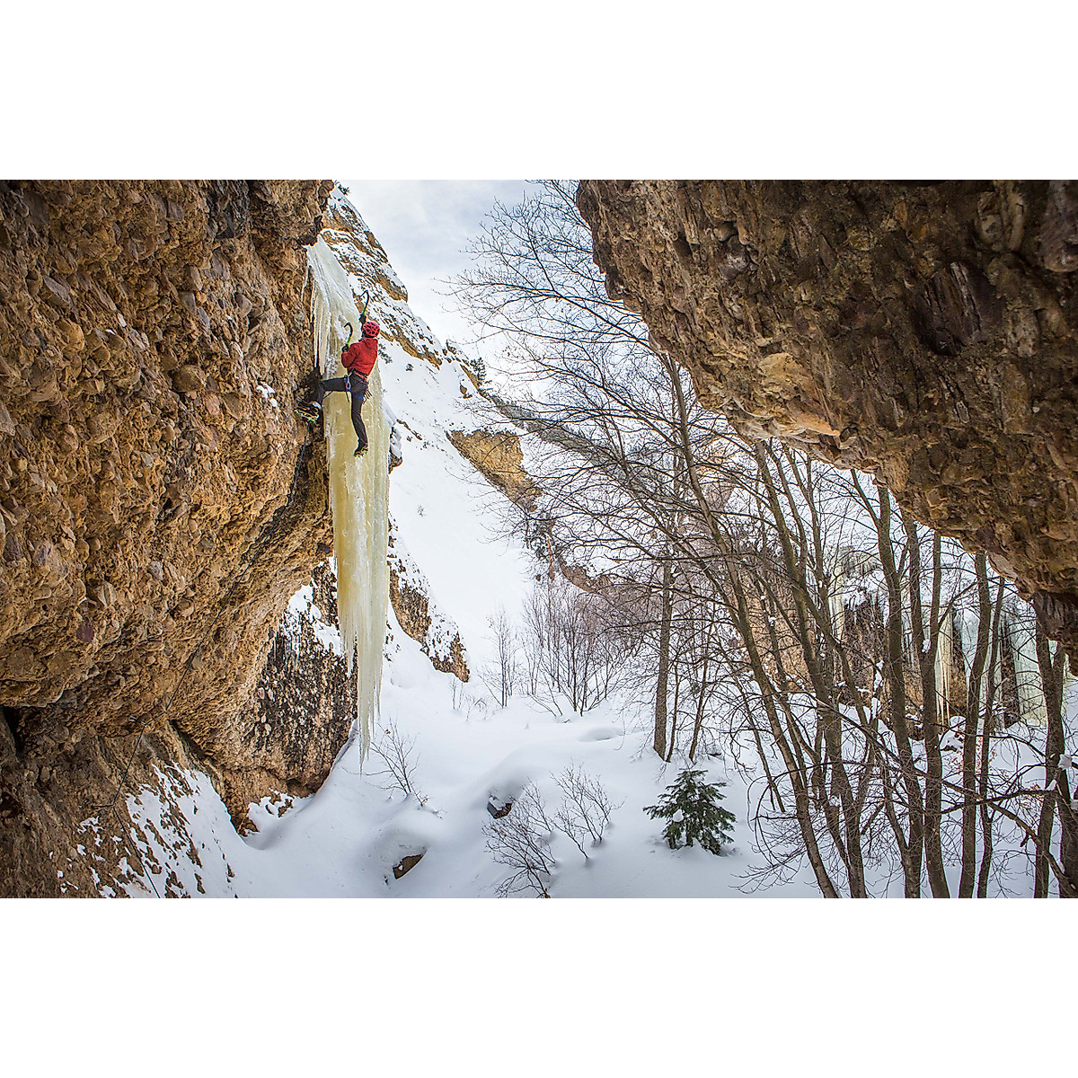 Black Diamond Women's Mercury Mitts, Black, Small