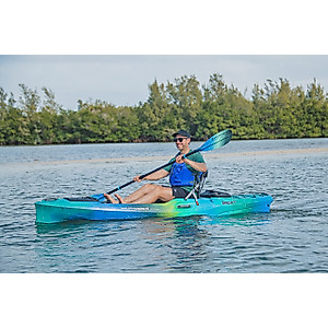 Wilderness Systems Pungo Glass Recreation/Touring Kayak Paddle | Fiberglass Blade | Adjustable Carbon/Fiberglass Shaft (220-240cm)