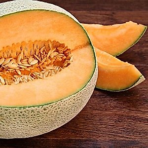David's Garden Seeds Fruit Cantaloupe Top Mark FBA-4421 (Orange) 50 Non-GMO, Heirloom Seeds
