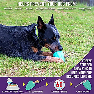 Chew King Premium Treat Dog Toy, XL, Extremely Durable Natural Rubber Toy, Pack of 2, All Breed Sizes