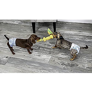 Disposable Male Dog Wraps with FlashDry Gel Technology, S 40 count