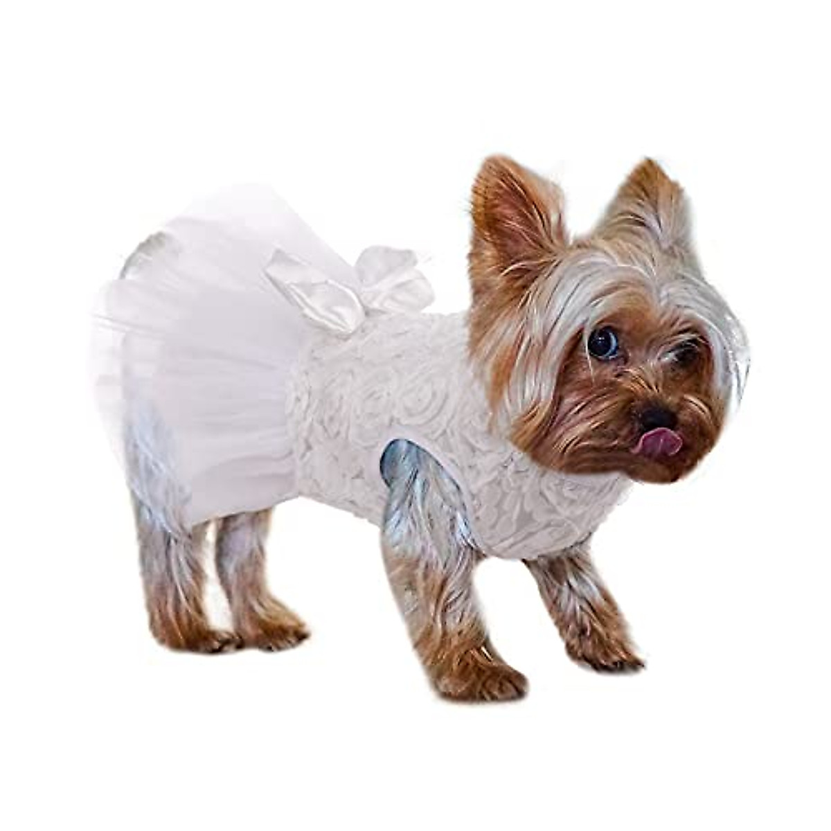 ASENKU Dog Dress Pet Wedding Dress Princess Lace Puppy Birthday Party Outfit Formal Apparel Girl for Small Medium Dogs Cats (XX-Small, White)