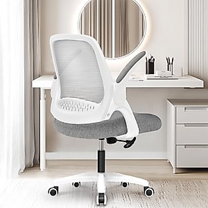 NEO CHAIR Ergonomic Office chair Gaming Desk Computer Chair with Adjustable Height Comfy Lumbar Back Support Flip-Up Padded Armrests and Wheels for Home Office Vanity (Grey)
