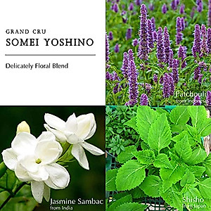 BERDOUES Grands Crus Somei Yoshino Eau de Parfum | Floral, Long Lasting Scent Made in France | Spray Fragrance for Women Inspired by Cherry Blossoms | Luxury Perfume with Premium Quality Ingredients, 0.34 fl.oz.