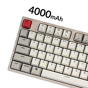 Keychron C1 Hot-swappable Wired Mechanical Keyboard for Mac Layout, Keychron Mechanical Blue Switch/USB Type-C Cable/Double-Shot ABS Keycaps Tenkeyless 87 Keys Computer Keyboard for Windows PC