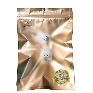 WOVTE Europe Plug Converter Travel Charger Adapter for Apple iBook MacBook White Pack of 2