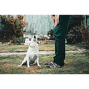 Cdycam 120cm 4ft Custom Pearls Beaded Pet Dog Cat Training Walking Leash with Elegant White Peal Dog Collar