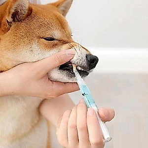 Emcgicc Natural Plant Substance - Pet Teeth Repairing Kit, Pet Dog/Cat Teeth Cleaning Pen for Dental Care, Dog Cat Tooth Scaler Pet Teeth Whitening Pen Tool, Pet Dog/Cat Beauty Toothbrush (1set)