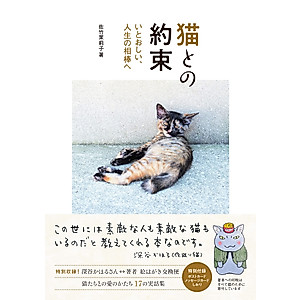 猫との約束