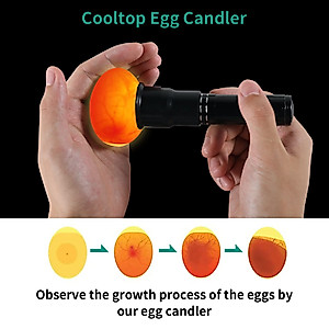 AZXIVIZ Egg Candler, Candling Light Tester for Eggs with High Intensity,Egg Candle for Distinguishing Fertile Chickens Ducks Quail Eggs