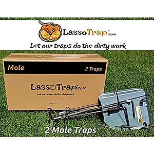 MOLE Trap (Pack of 2) LASSO Galvanized & Oil Hardened Steel// Super Cost-Effective, Reusable, Durable Animal Best in The Lawn, Yard, Garden, Farm, All Outdoor Settings w/ Manual (Small) 2 1/8inch
