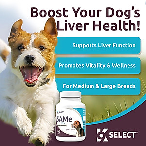 K9 Select SAM-e for Medium and Large Adult Dogs, 60 Tablets, 200mg Active S-Adenosyl L- Methionine, Cognitive and Liver Support Supplement for Dogs, Nutritional Support for Revitalisation