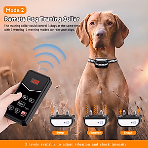 BHCEY Wireless Dog Fence, Electric Fence System,Remote Dog Shock Training Collar 2 in 1, Perimeter Wireless Dog Boundary Pet Containment System Outdoor for The Yard,Suitable for Large/Small Dogs