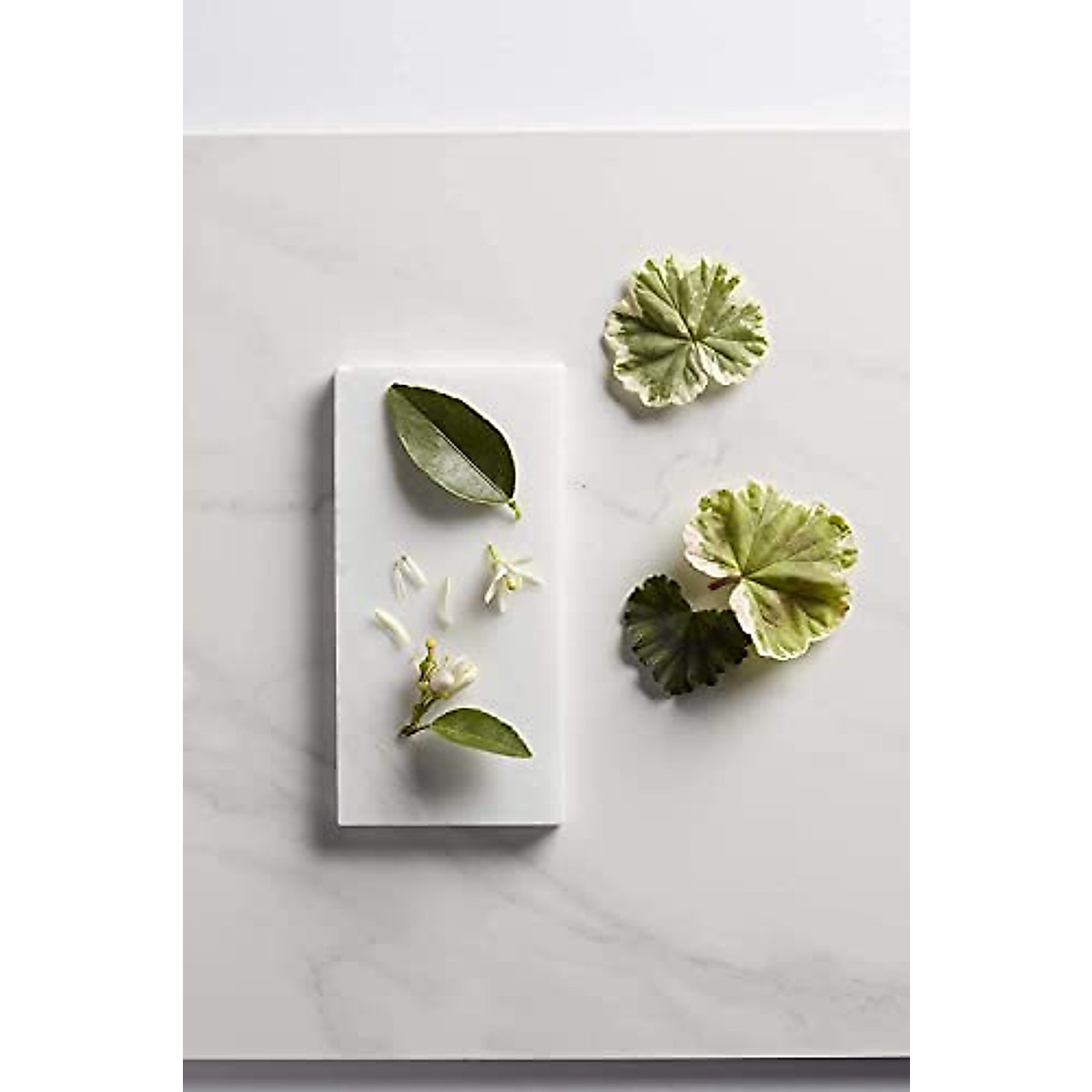 OPI ProSpa Exfoliating Sugar Scrub, 4.8 oz