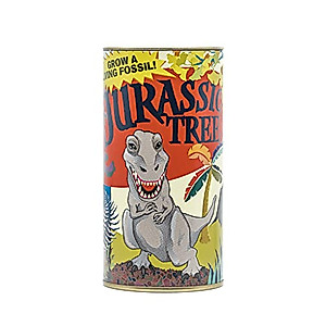 Jurassic Ginkgo | Tree Seed Grow Kit | The Jonsteen Company