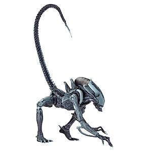 NECA - Aliens vs Predator (Arcade Appearance) - 7" Scale Action Figures - Arachnoid