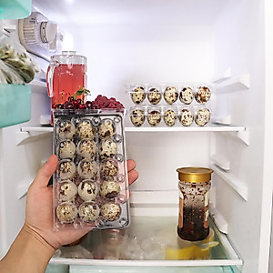 KUKLIPJIM 200 Pack Quail Egg Cartons, Clear Plastic Quail Egg Trays, Holds up to 15 Quail Eggs Securely - Your Ultimate Small Eggs Carton Holders for Bulk Storage and Display