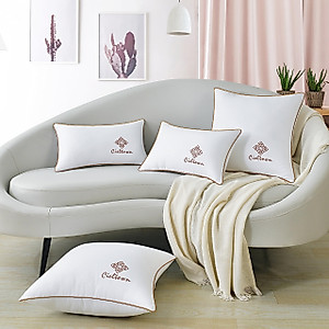 Cieltown Throw Pillows for Couch 12x20 Pillow Inserts Set of 2 White Euro Square Decorative Pillows for Bed Sofa Living Room Cojines Decorativos para Sala Cama (Champagne, 12 x 20 Inch Pack of 2)