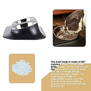 Raised Cat Bowl Pet Bowl,Stainless Steel Elevated Small Dog Bowls,15°Tilted Whisker Reliefs Fatigue Free Stress Anti Vomiting Cat Food Water Bowls,Non Slip Cat Feeding Bowls（Double Bowl）