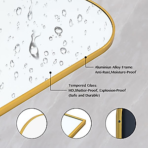 Protylctaster Full Length Mirror Wall Mounted Mirror Black and Gold Over The Door Mirror Full Length Bundle Sale