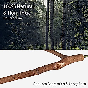 Bird Parrot Perch Stand Set - 10 Pcs Natural Wood Fork Perch Rod Stand and 2 Pcs Vine Ball for Parrot Cage Accessories