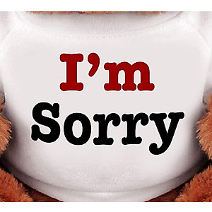 I Am Sorry Teddy Bear - Cute and Cuddly : Funny Teddy Bear Couple Gift : Romantic Medium Teddy Bear Stuffed Animal